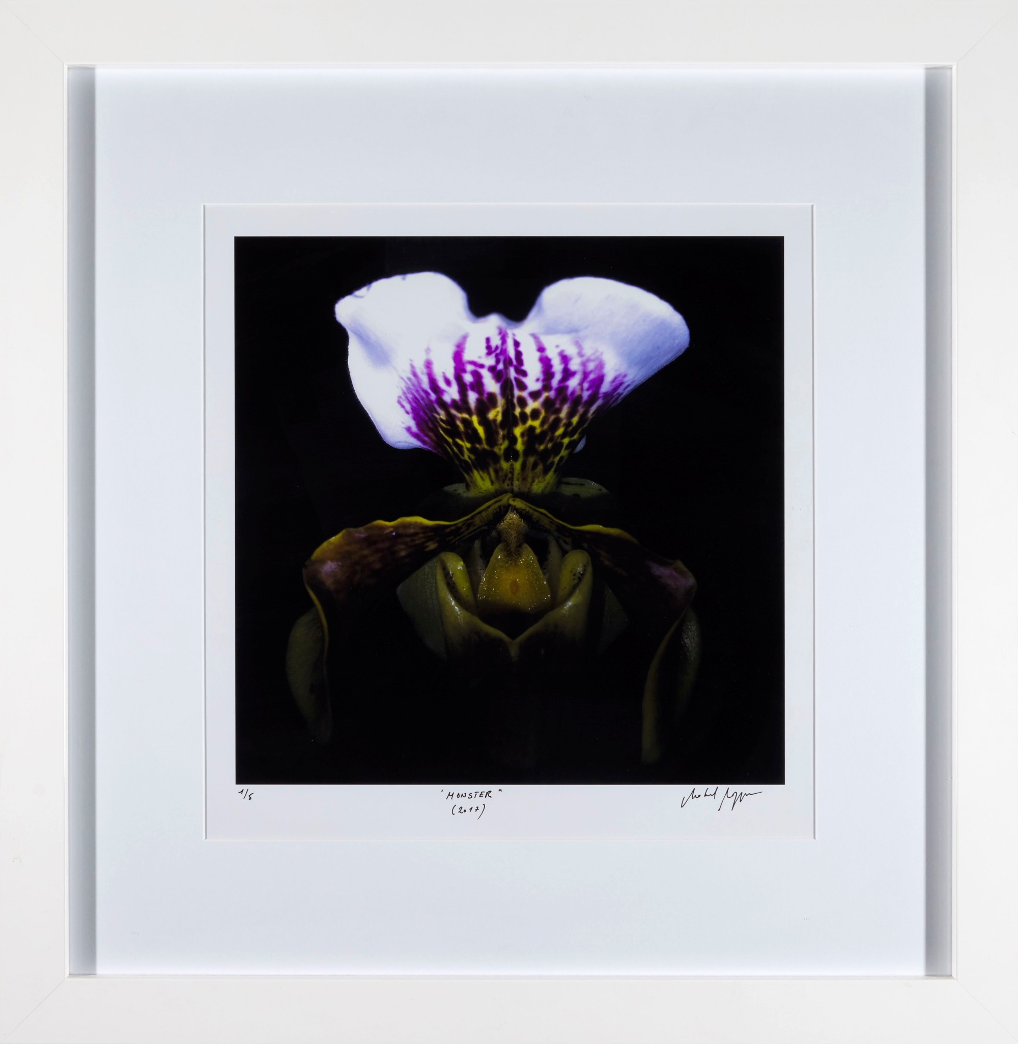 Robert Popper | MONSTER (2017) | MutualArt