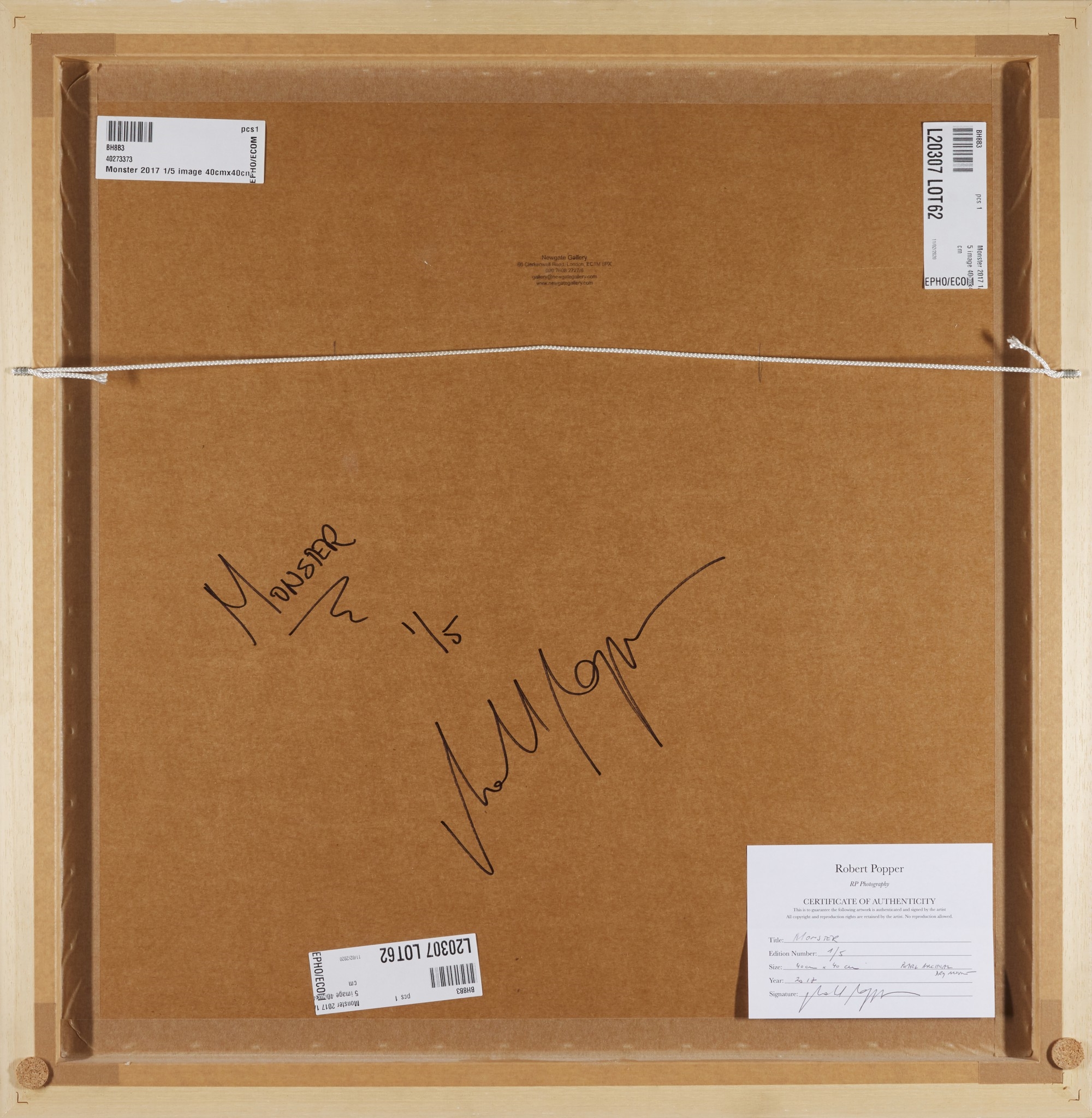 Robert Popper | MONSTER (2017) | MutualArt