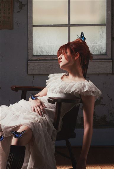 Jamie Baldridge | The Perils of Lepidoptery | MutualArt