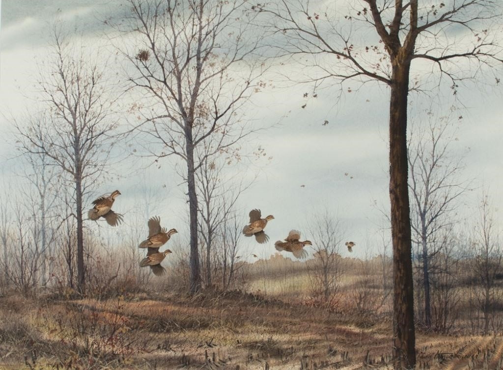 David Hagerbaumer | Quail- A Covey Rise | MutualArt