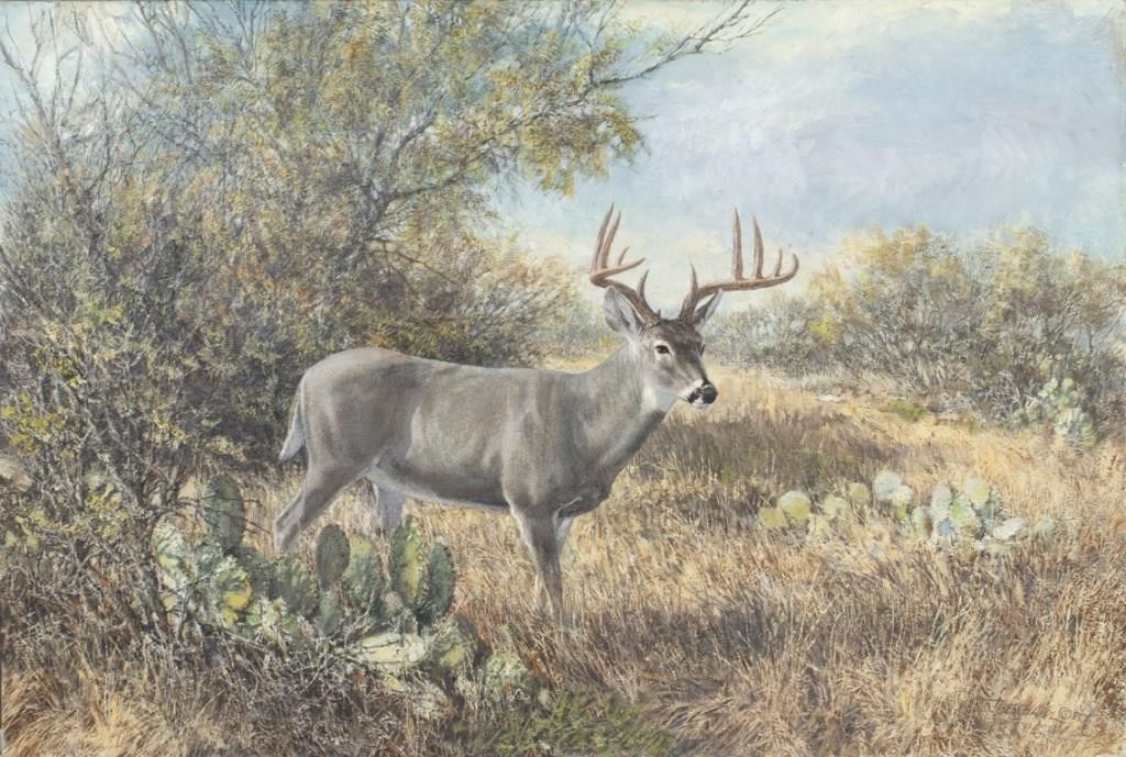Tom Beecham | Deer (1980) | MutualArt
