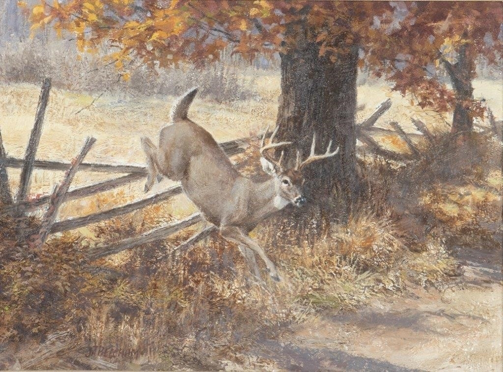 Tom Beecham | White-Tailed Deer | MutualArt