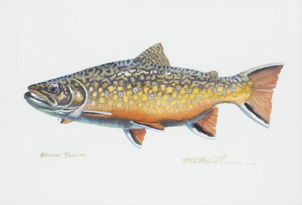 Mike Stidham | Brook Trout | MutualArt