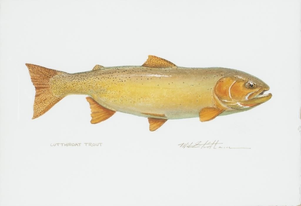 Mike Stidham | Rainbow Trout (1977) | MutualArt