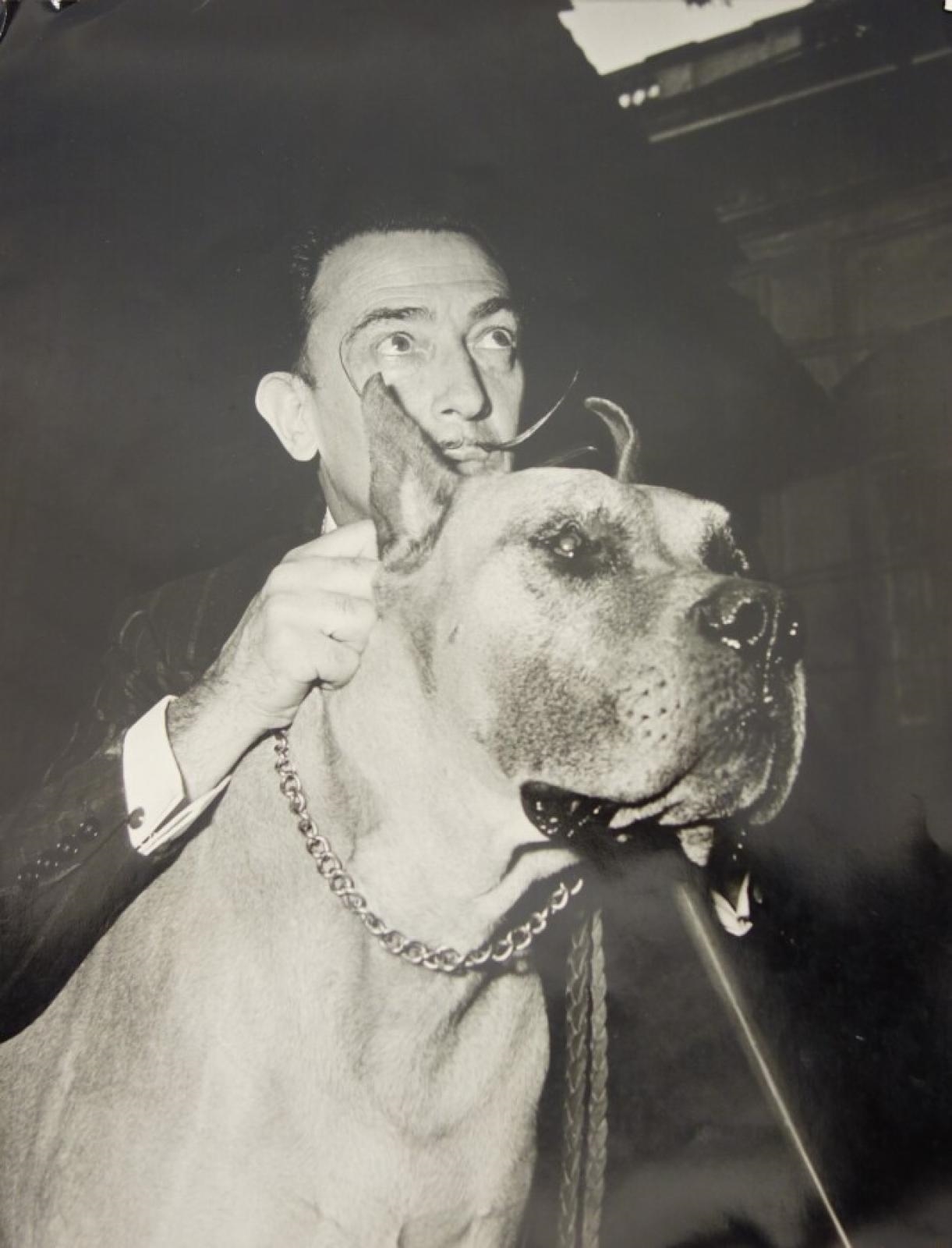 Salvador Dalí | Dali et son chien | MutualArt