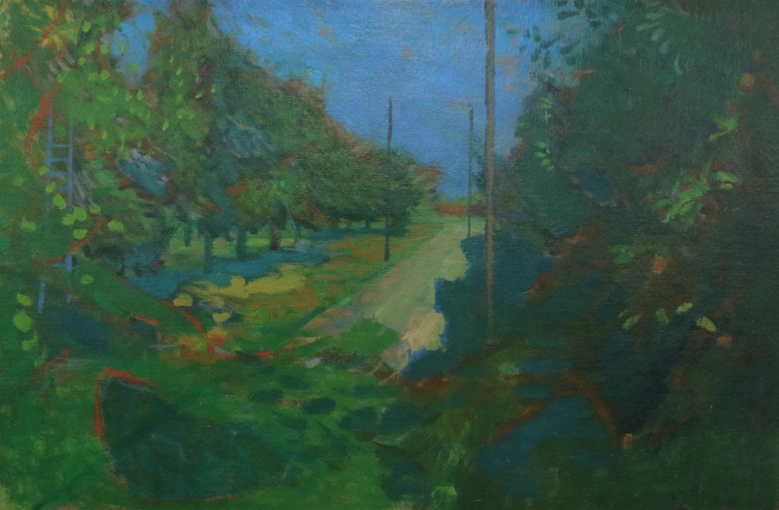 Colin Hayes | Landscape | MutualArt