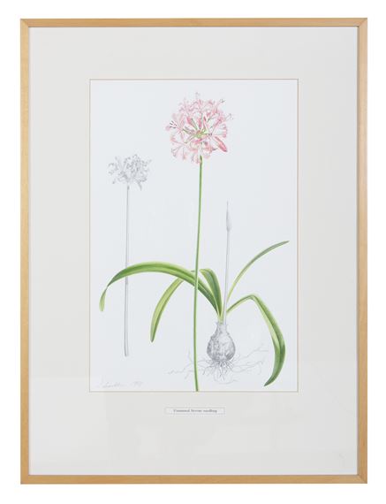 Deborah Lambkin | 2 Artworks at Auction | MutualArt