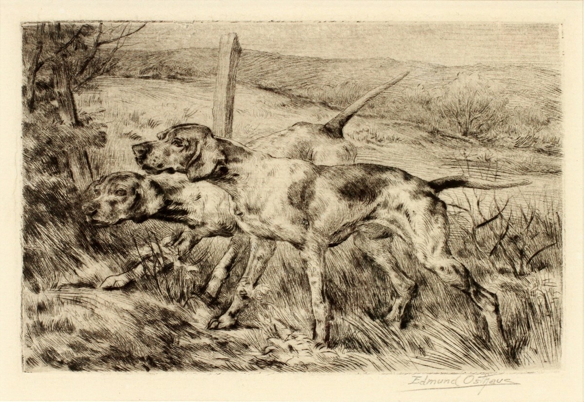 Edmund Henry Osthaus | COLLECTION OF ETCHINGS AND DRYPOINTS OF DOGS ...
