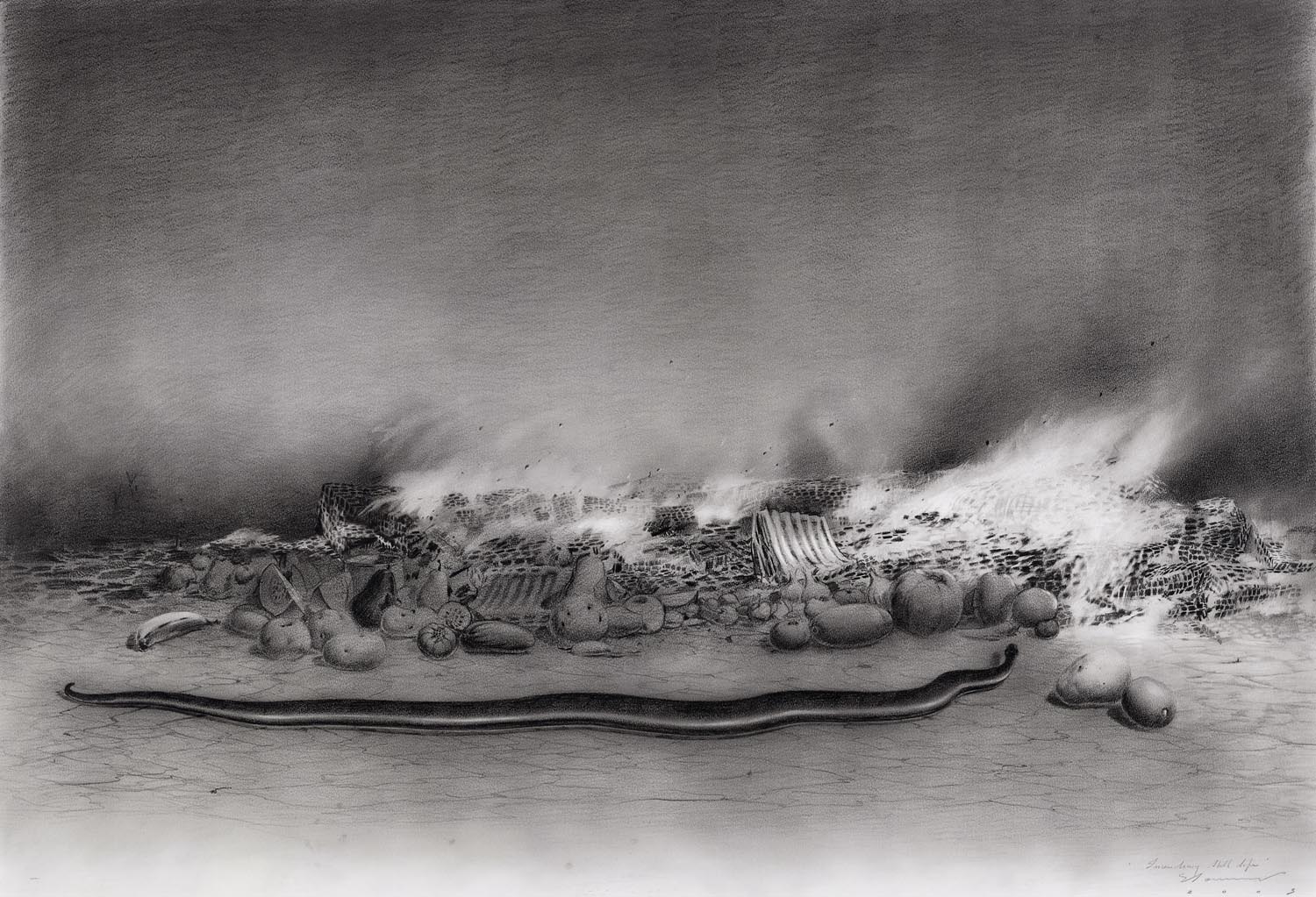 Tim Storrier | Incendiary Still Life (2003) | MutualArt