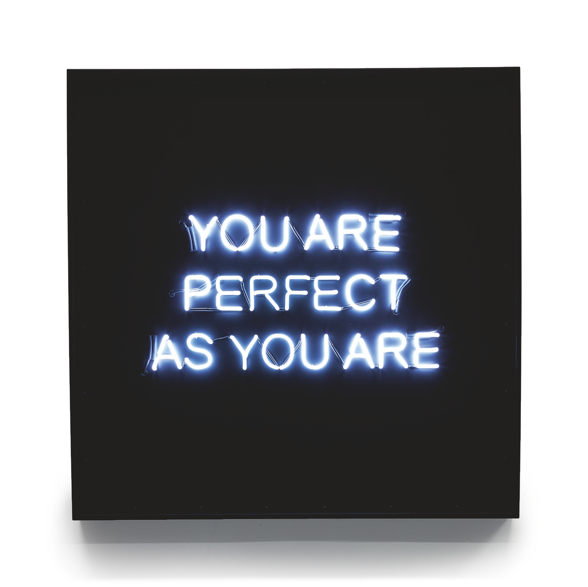 Jeppe Hein | YOU DON'T HAVE TO BE PERFECT TO BE HERE (2012) | MutualArt