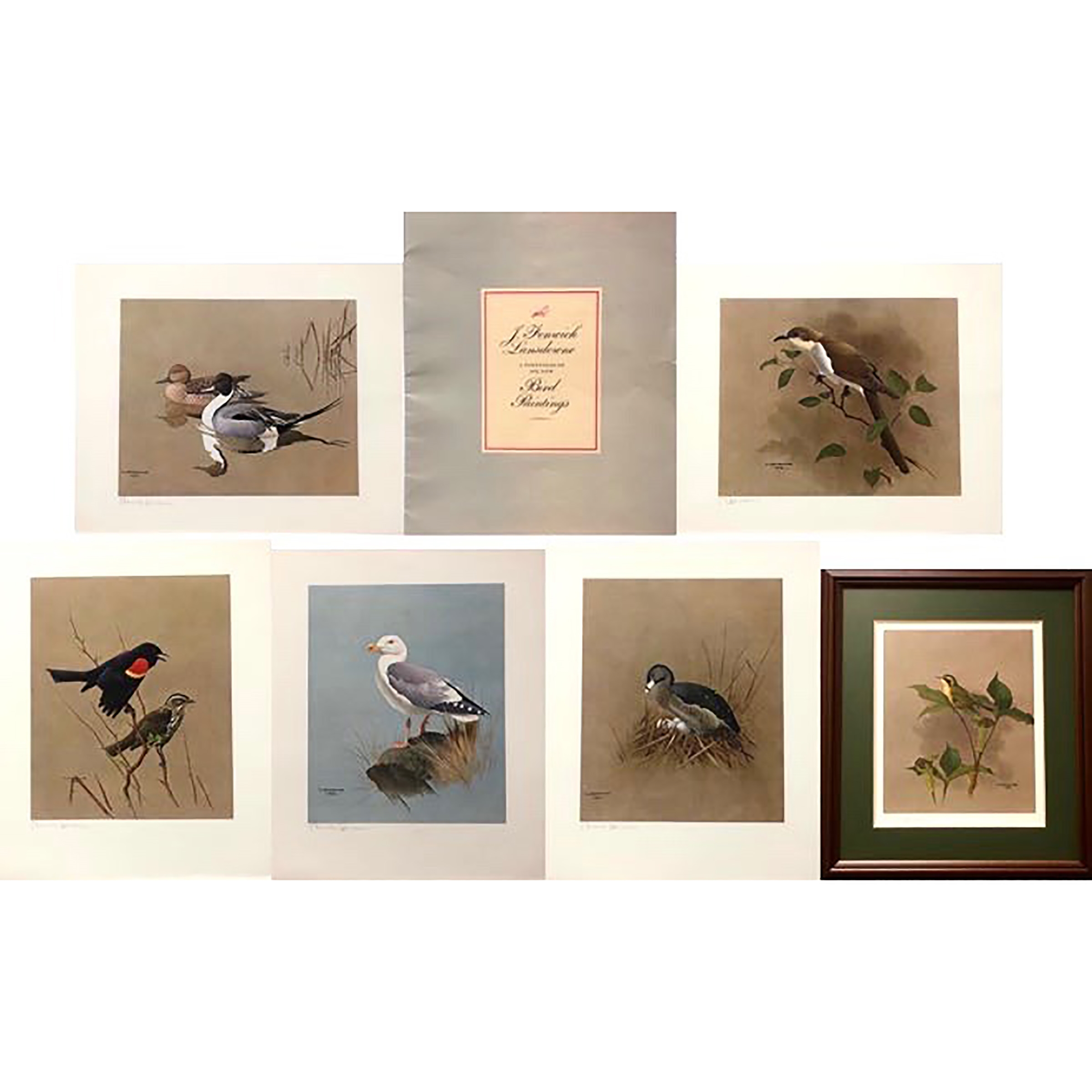 James Fenwick Lansdowne | VARIOUS BIRD STUDIES | MutualArt