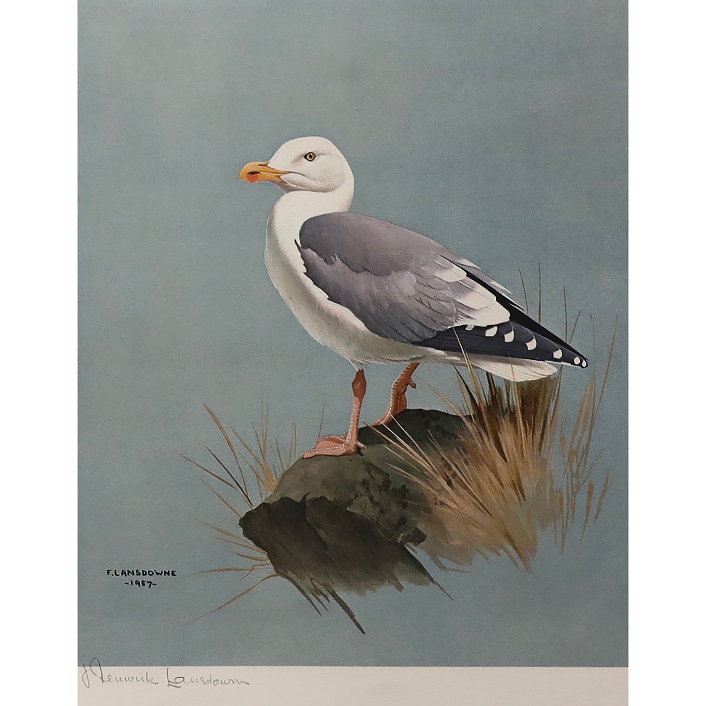 James Fenwick Lansdowne | VARIOUS BIRD STUDIES | MutualArt