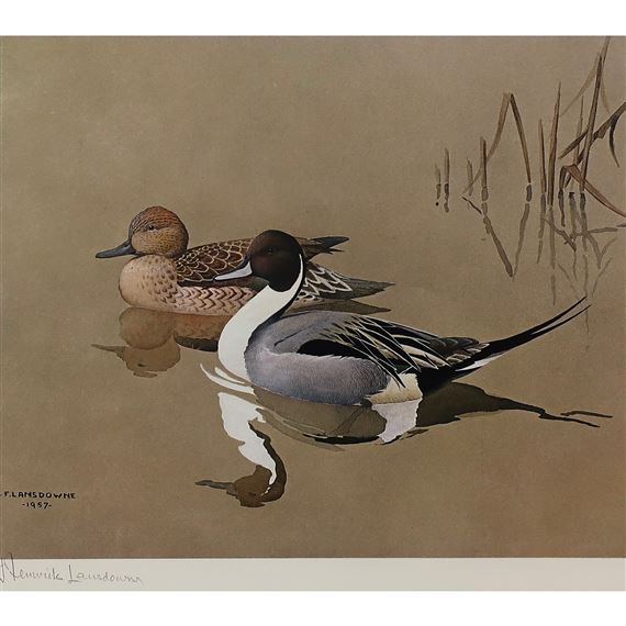 James Fenwick Lansdowne | VARIOUS BIRD STUDIES | MutualArt