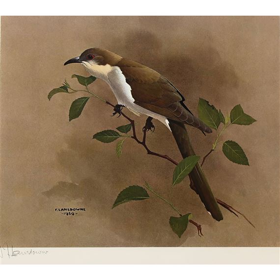 James Fenwick Lansdowne | VARIOUS BIRD STUDIES | MutualArt