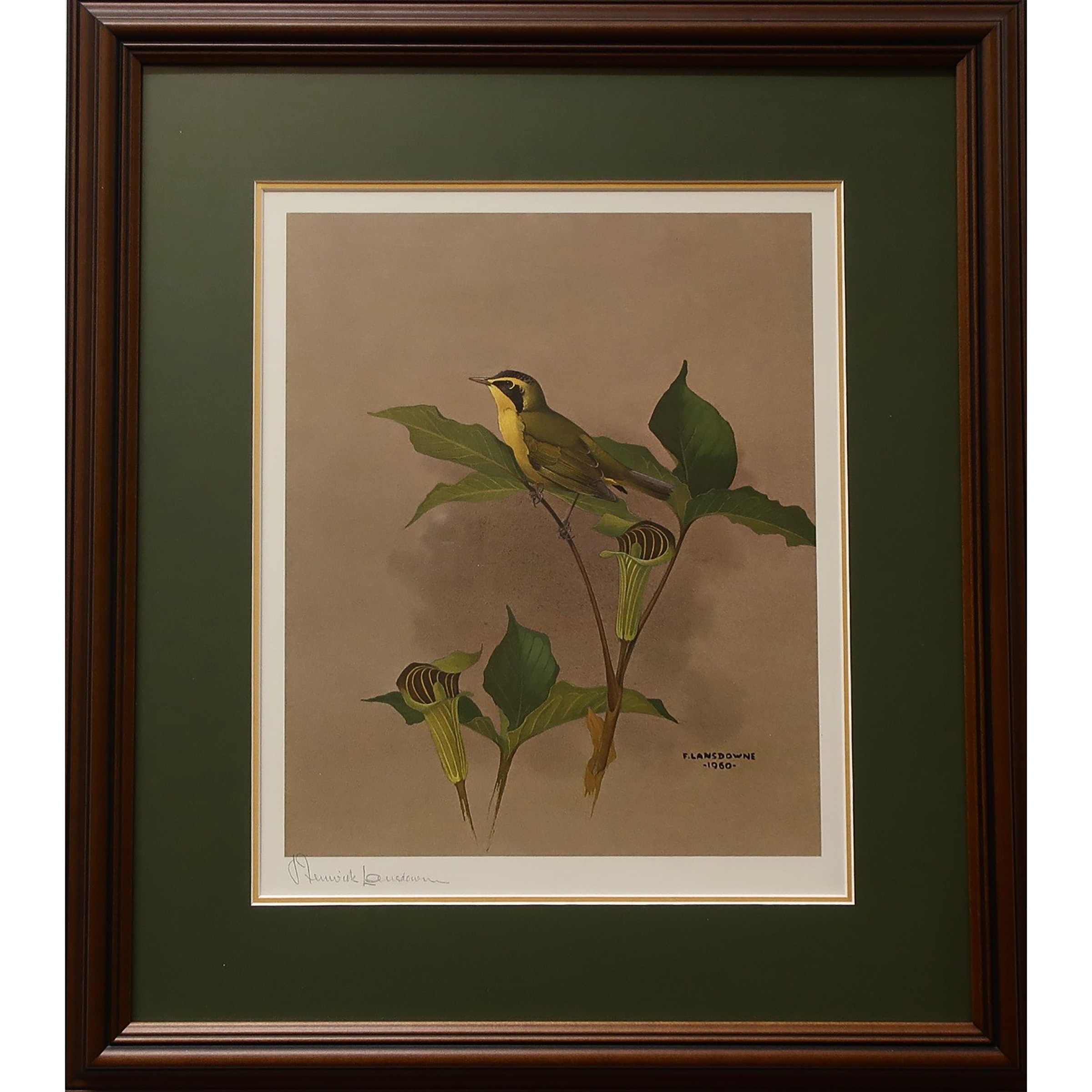 James Fenwick Lansdowne | VARIOUS BIRD STUDIES | MutualArt