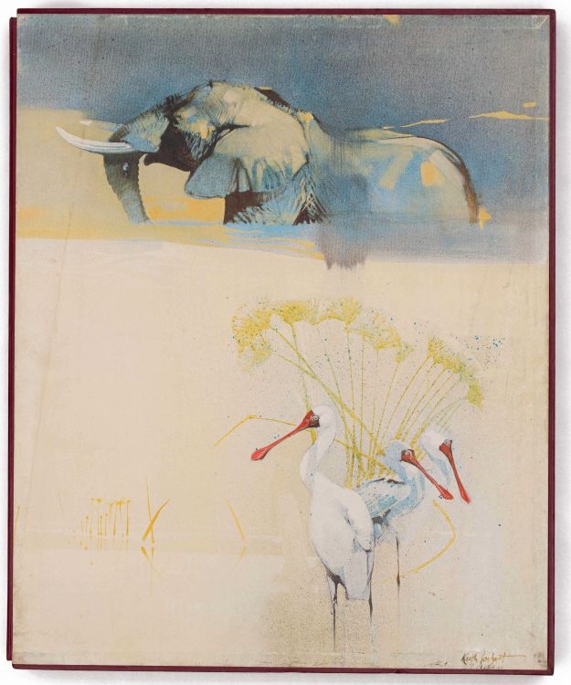 Keith Joubert | Birds of the Waterways of Southern Africa, portfolio ...