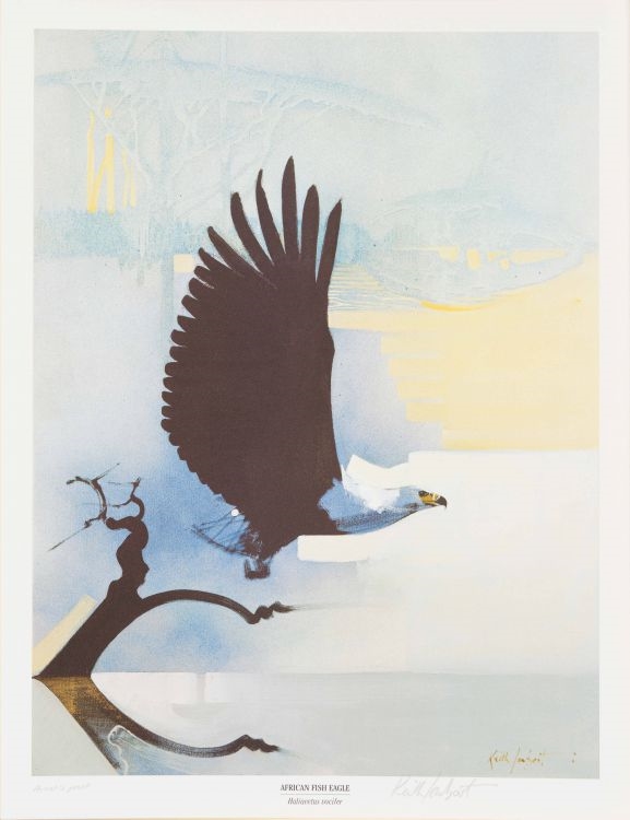 Keith Joubert | Birds of the Waterways of Southern Africa, portfolio ...