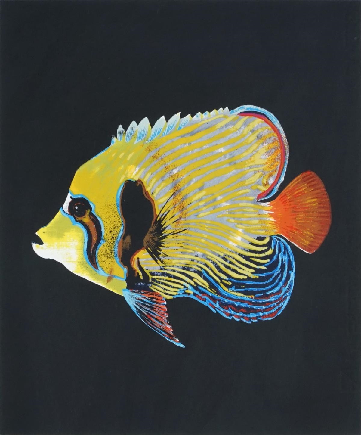 Randall Del Nin | Emperor Angel Fish | MutualArt