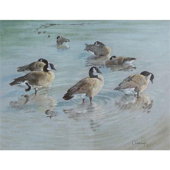 Dorothy Marie Oxborough | SUNDOWN ON ELK LAKE (CANADA GEESE) | MutualArt