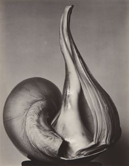 Weston Edward | Nahui Olin (1924) | MutualArt