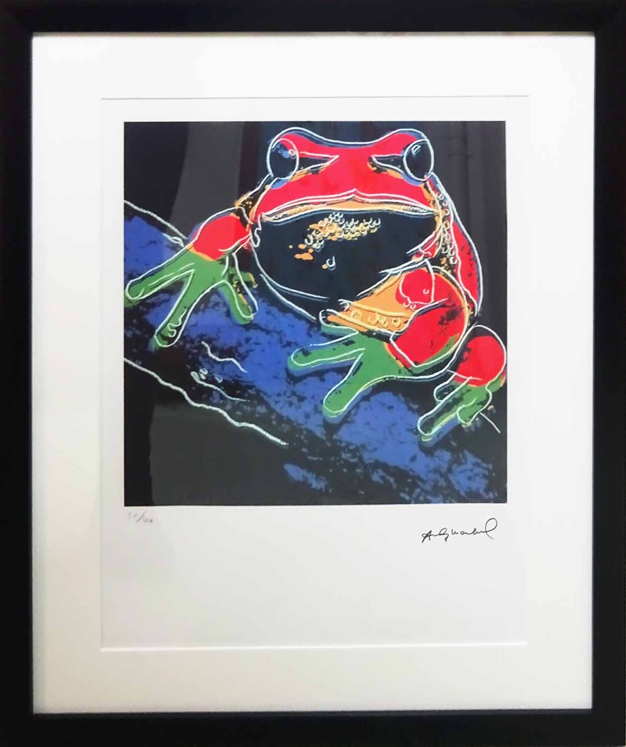 Andy Warhol | Pine Barrens Tree Frog | MutualArt