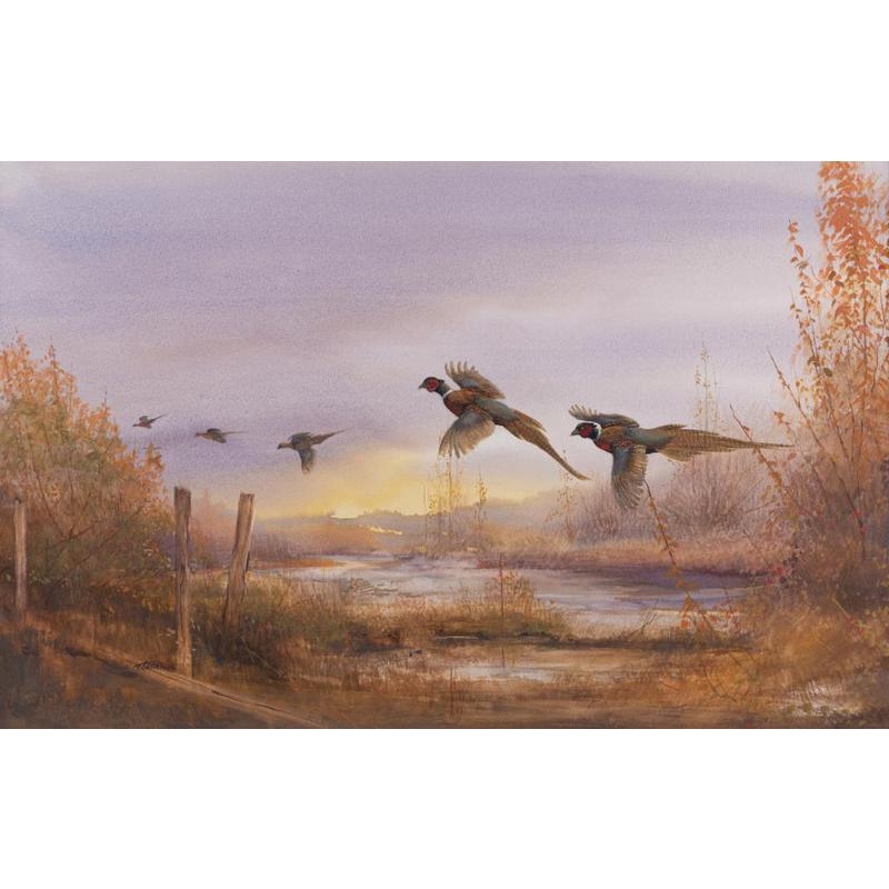 Tom Sander | Pair of Roosters | MutualArt