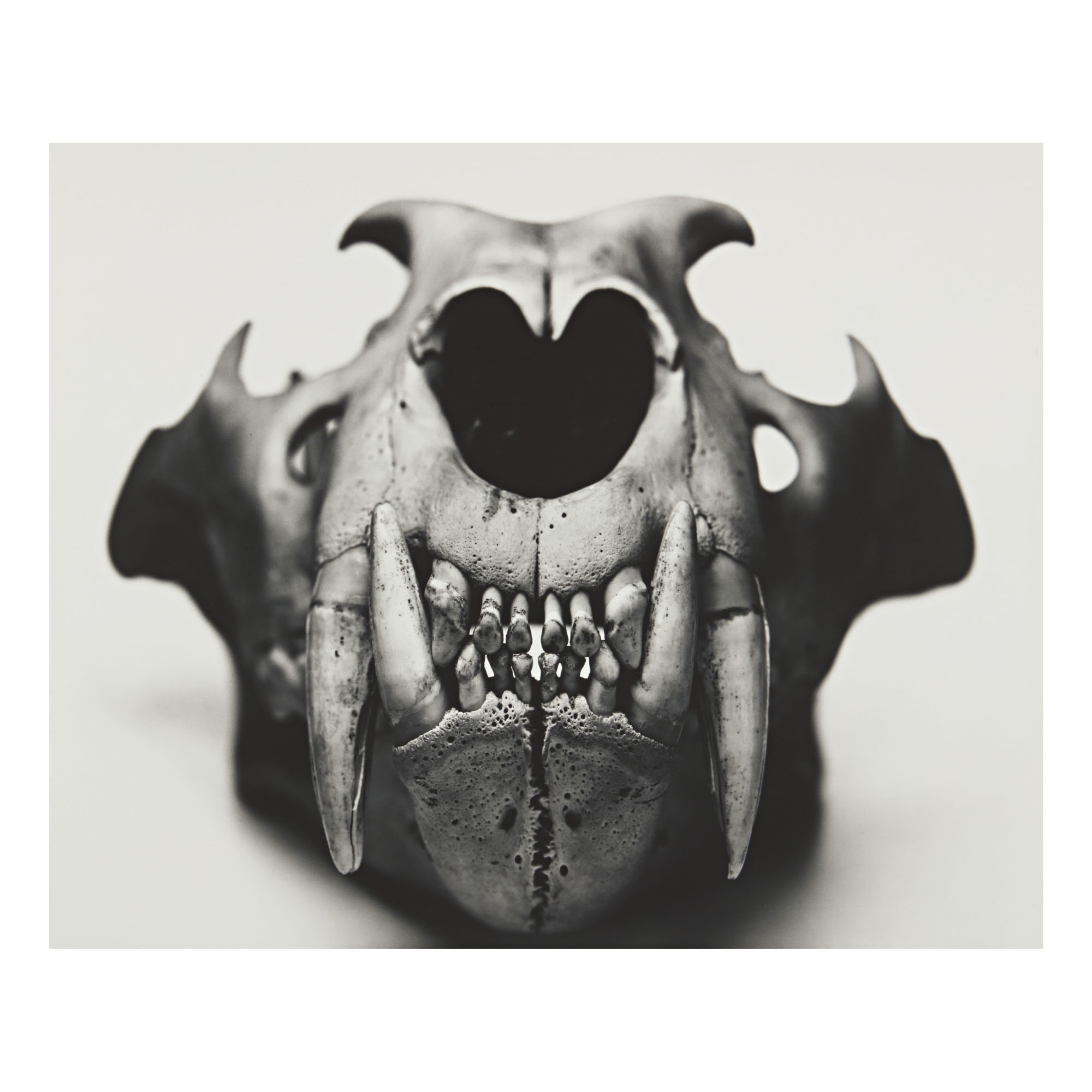 Irving Penn | 12 hands of Miles Davis and his trumpet, New York (1986 ...