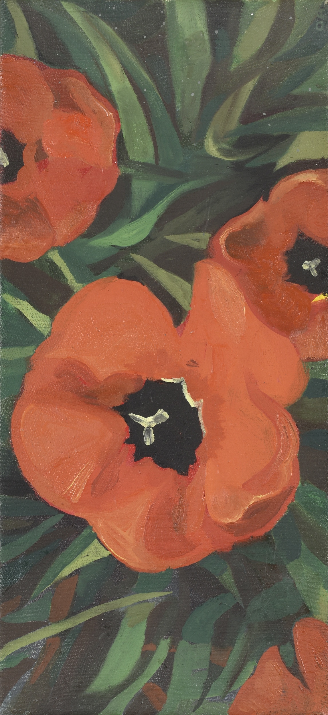 David Adamec | VLČÍ MÁK (2008 - 2009) | MutualArt