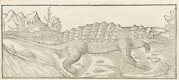 Sebastian Münster | Cosmographia Universalis (1544) | MutualArt