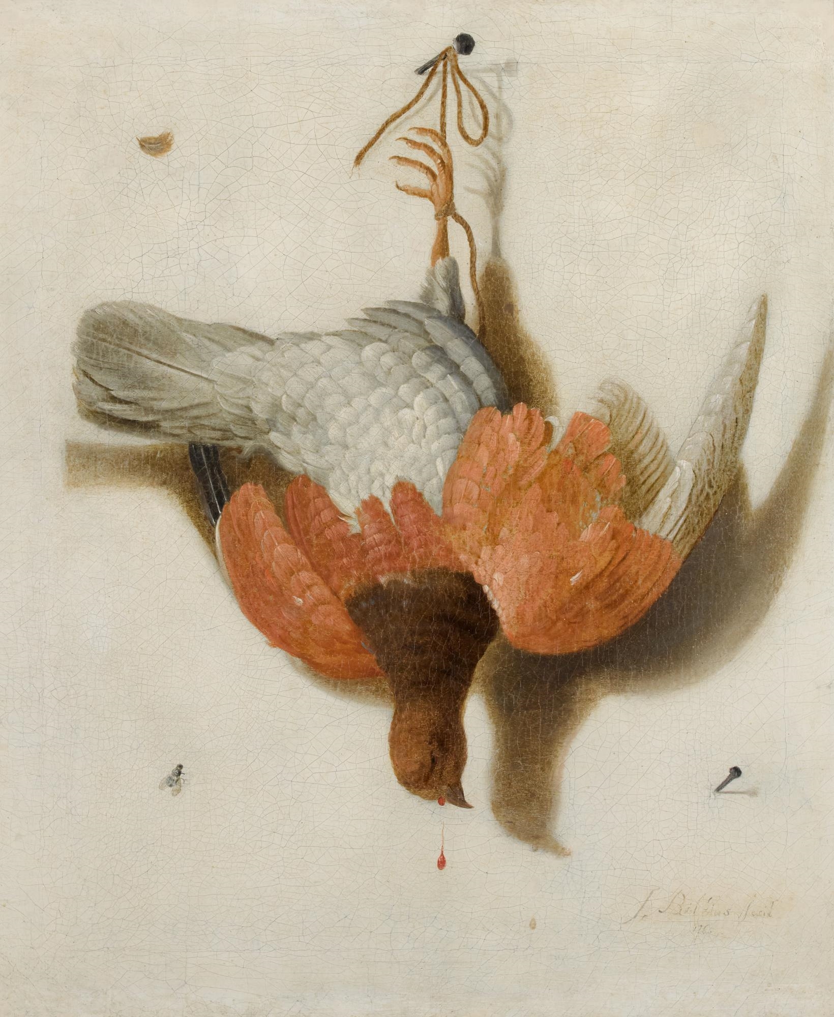 Jacobus Biltius | A Great Bustard and a Partridge suspended from ...