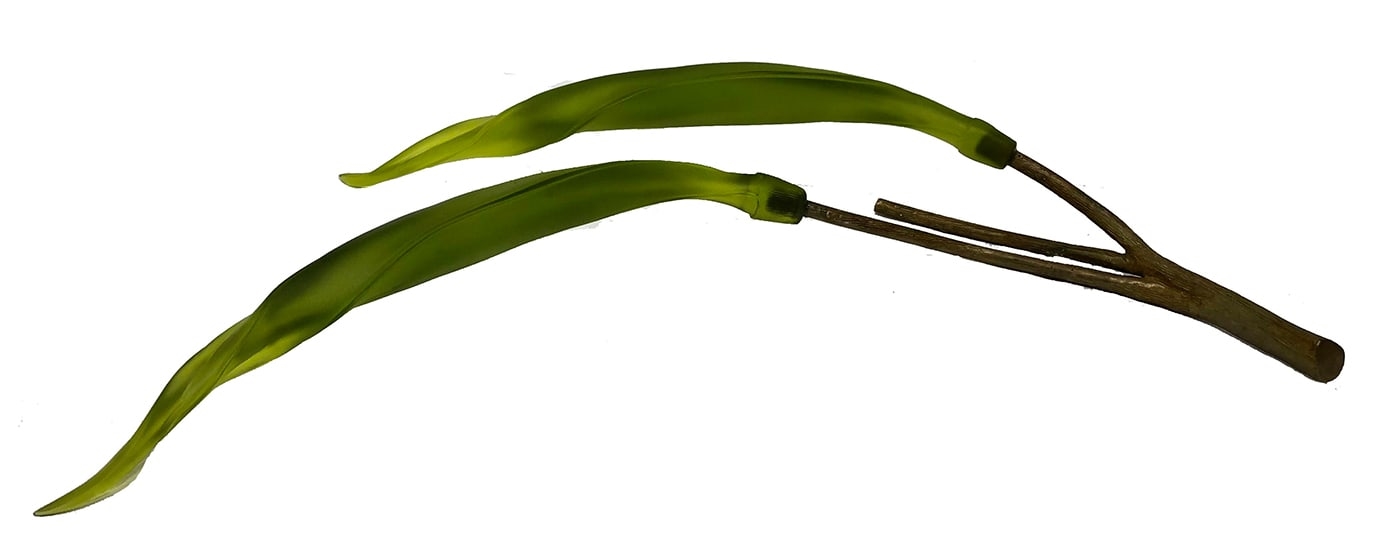 Ann Robinson | Twisted Flax Pods | MutualArt