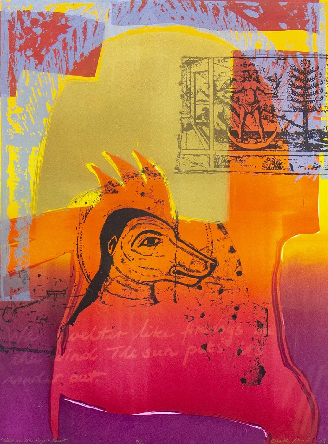 Elspeth Lamb | SLEEP IN THE MOJAVE DESERT (1989) | MutualArt