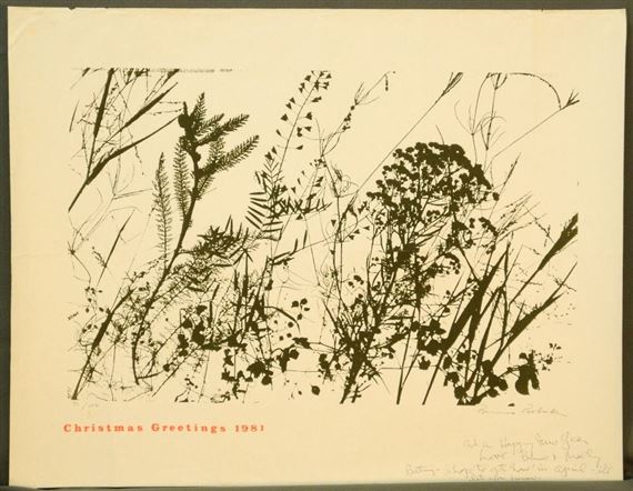Bruno Joseph Bobak | Grasses | MutualArt