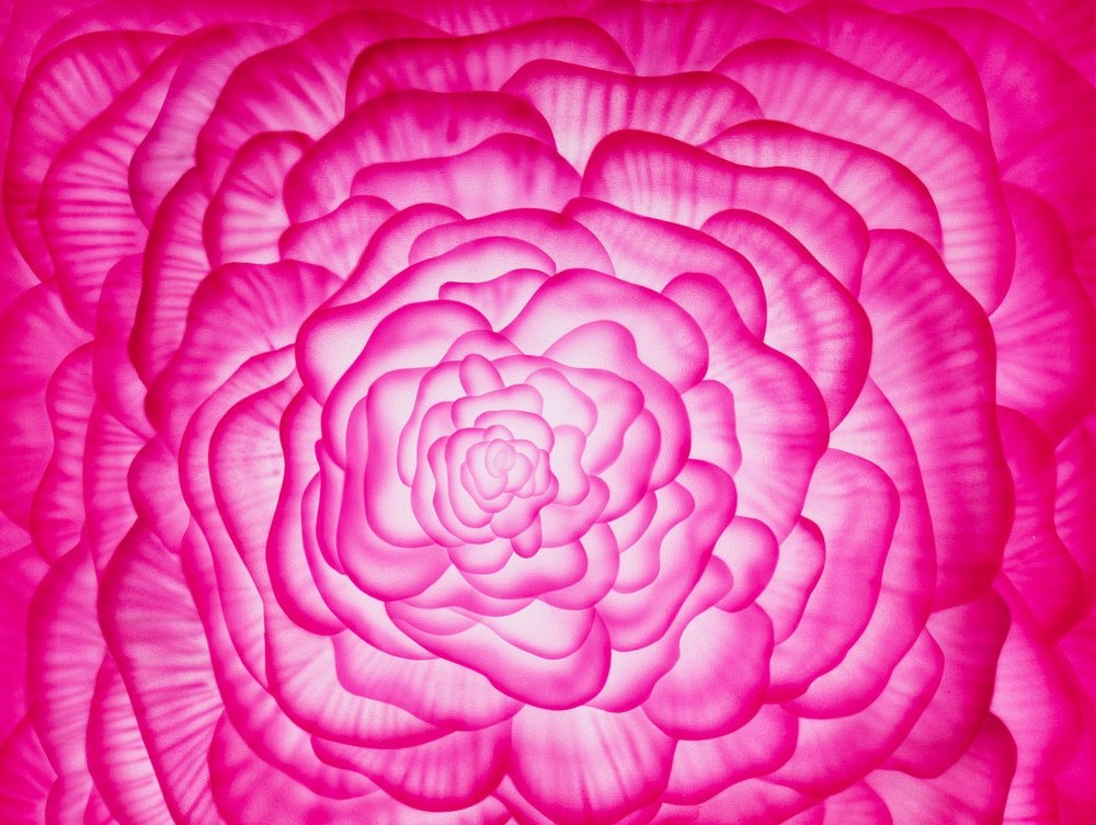 Hanna Rozpara | Flower's inside II (2020) | MutualArt