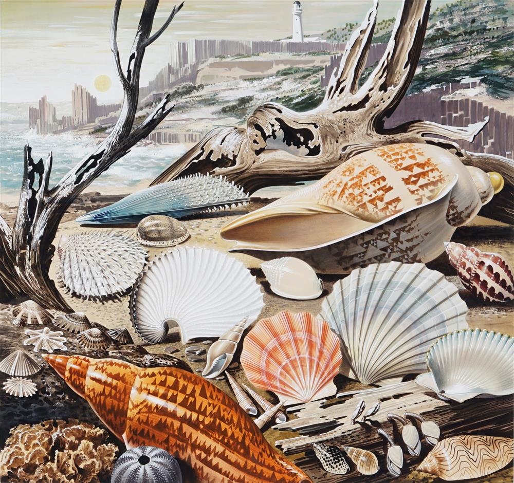 Ralph Malcolm Warner | The Shells of Tasmania (Circa 1959) | MutualArt