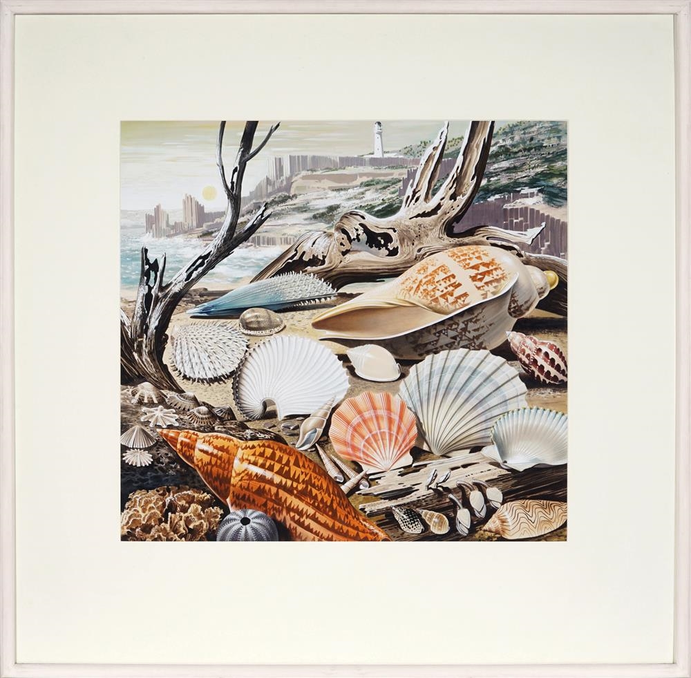 Ralph Malcolm Warner | The Shells of Tasmania (Circa 1959) | MutualArt