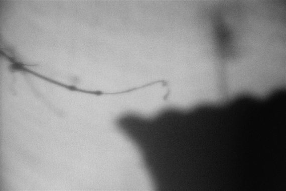 Estelle Jourdain | 1 Artworks at Auction | MutualArt