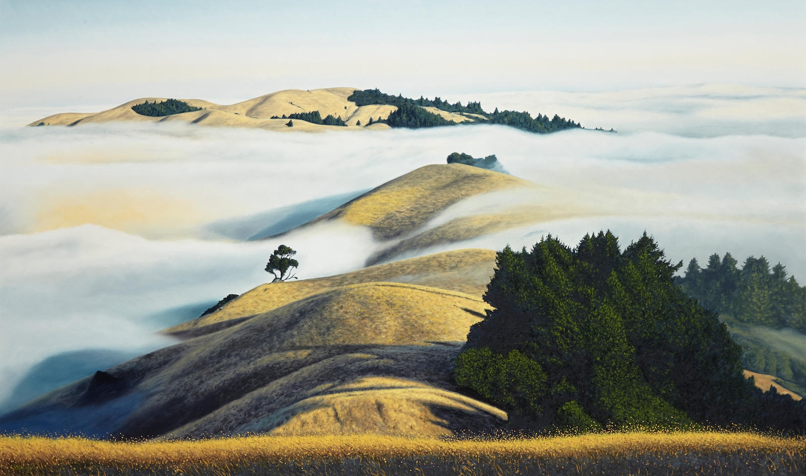Sam Racina | Islands in Fog (On White Hill, Marin county) | MutualArt
