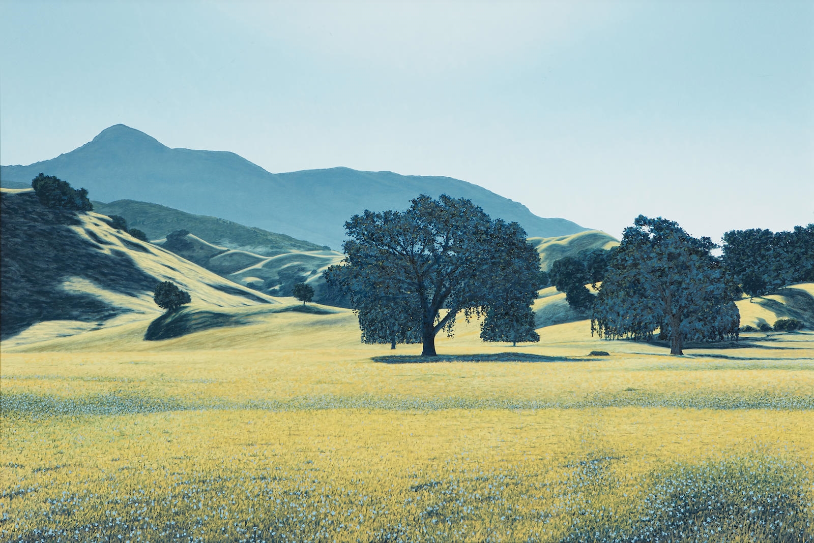 Sam Racina | Knight's Valley | MutualArt