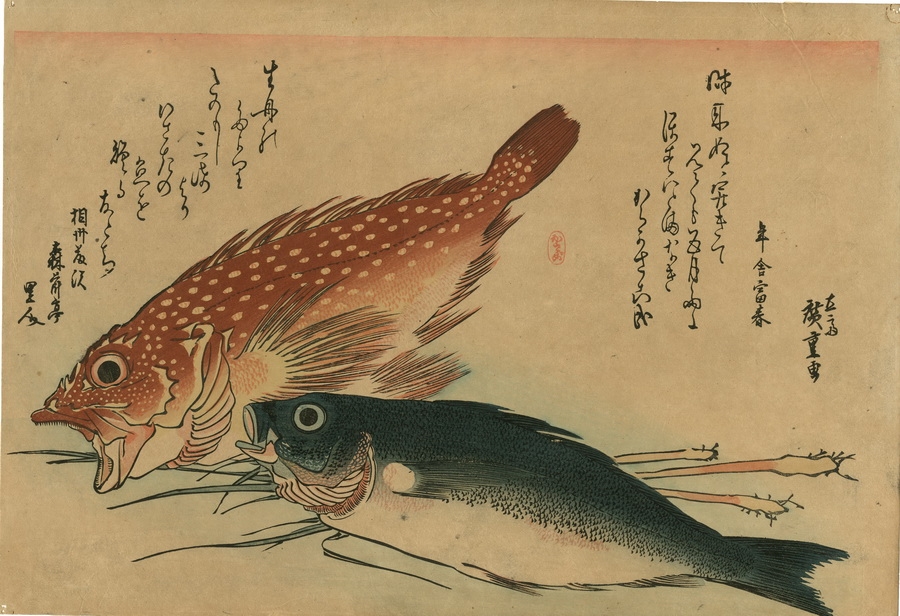 Utagawa Hiroshige | Yoko-ôban. Die Fische Kasago und Isaki mit ...