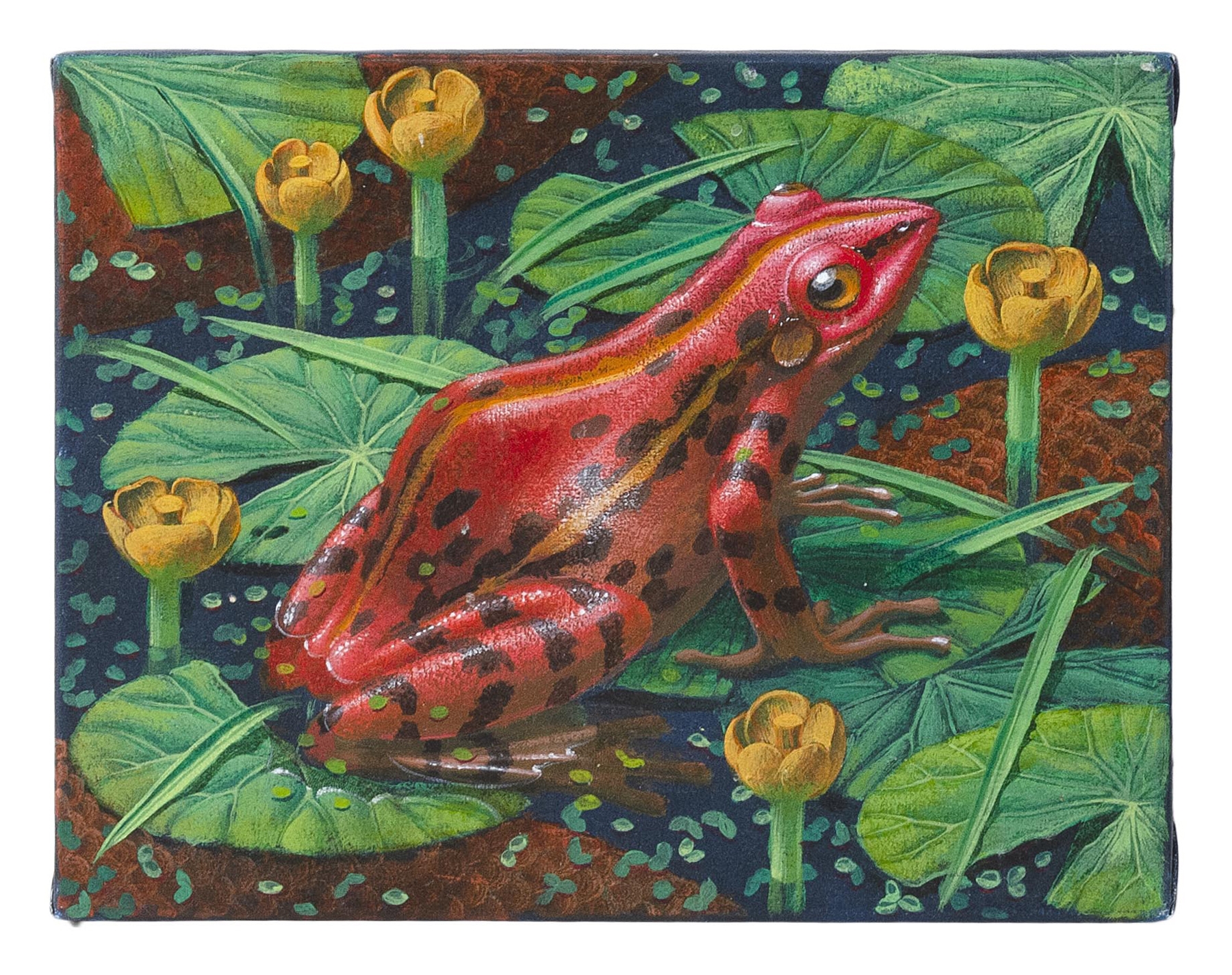 Alain le Chatelier | A red frog on a lily pad (2001) | MutualArt