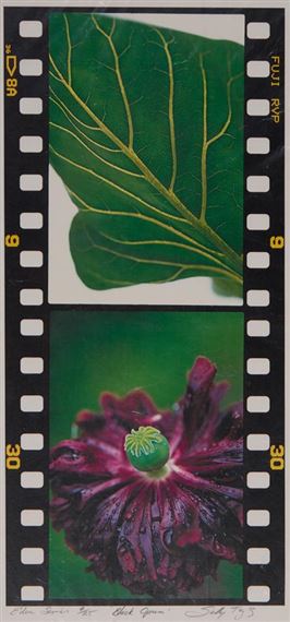 Sally Tagg | Black Opium | MutualArt