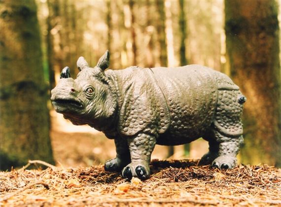 Michael Brammer | Rhinoceros (1995) | MutualArt