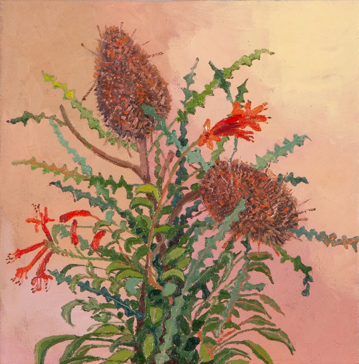 Chloe Tupper | BANKSIA BUNCH (2019) | MutualArt