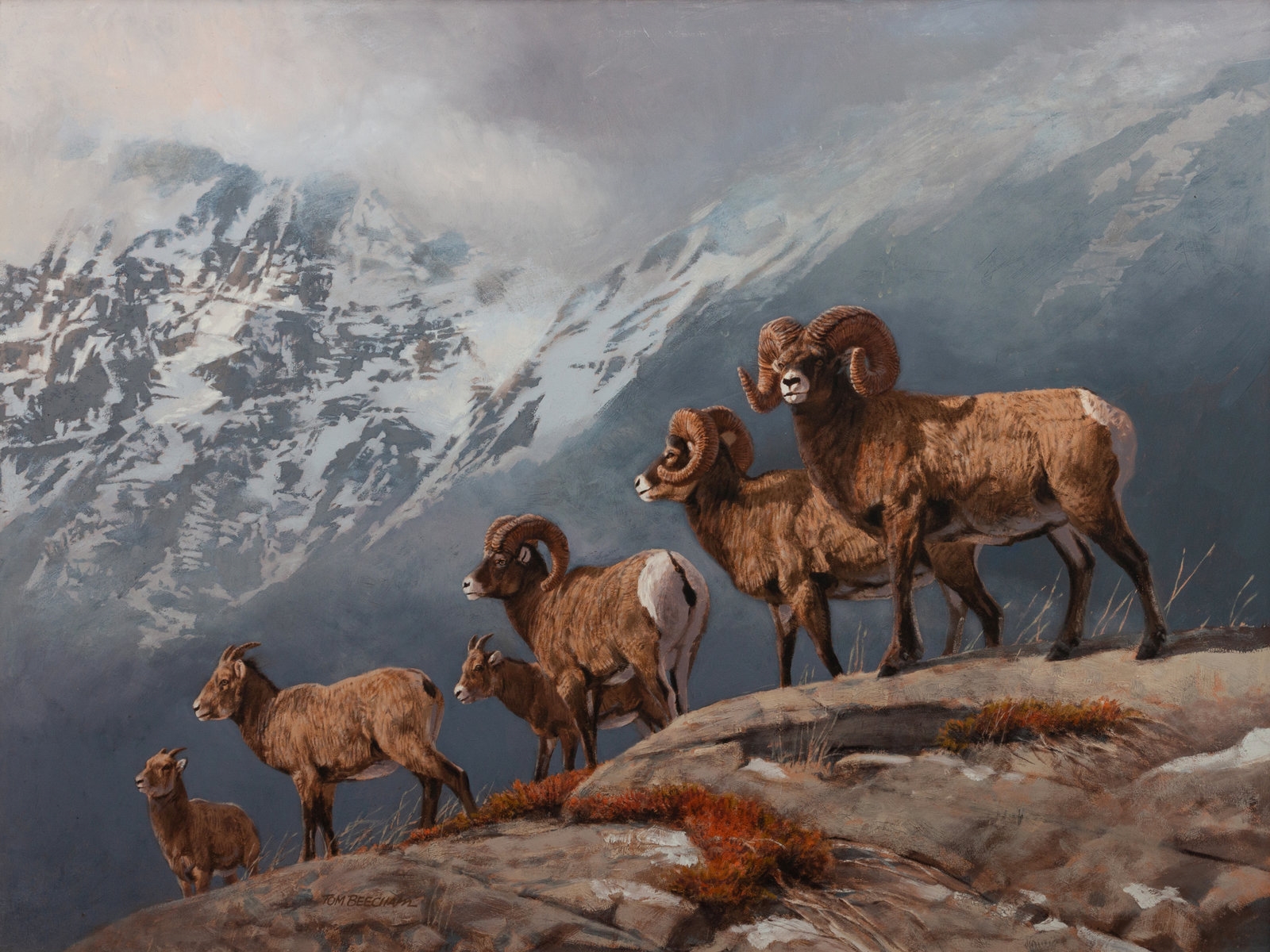 Tom Beecham | Big Horn Sheep | MutualArt