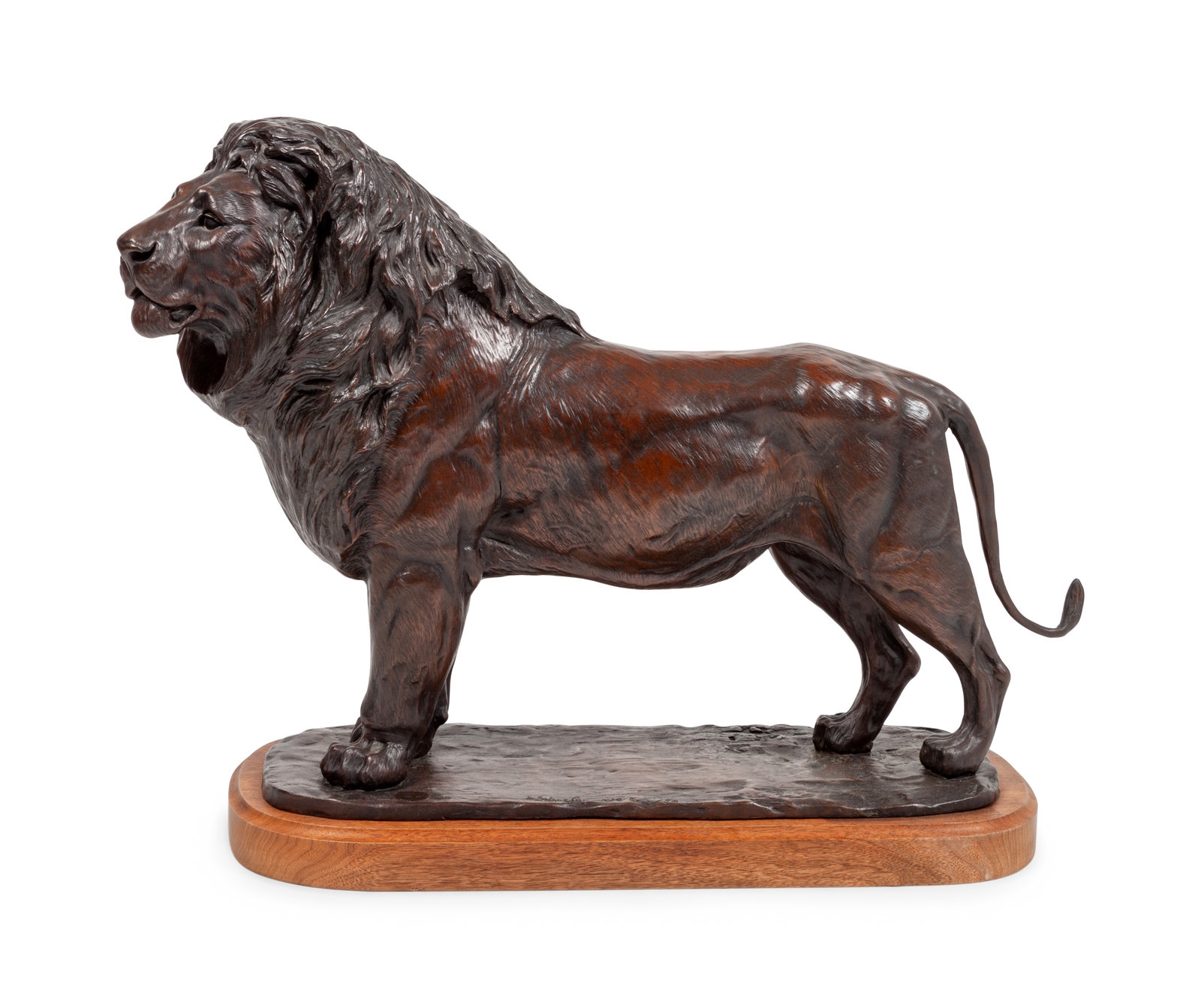 David Schaefer | Lion (1986) | MutualArt