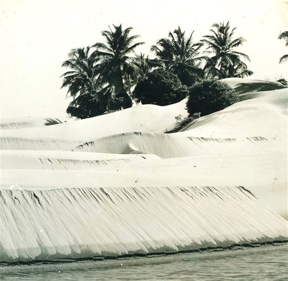 Karl Weidmann | Los médanos de Coro | MutualArt