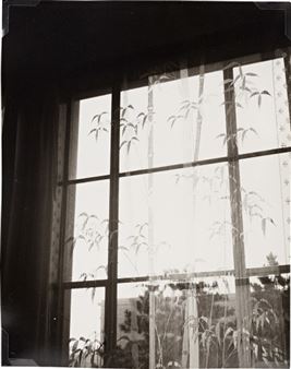 Warhol Andy | Torso | MutualArt