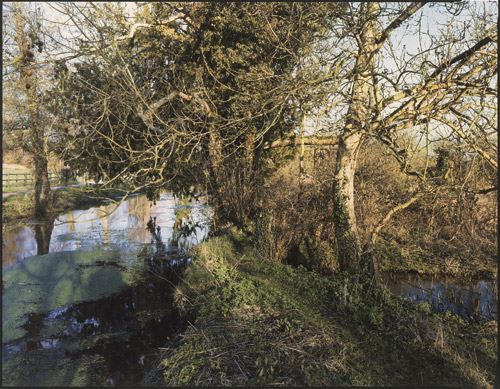 Richard David Pare | Biography