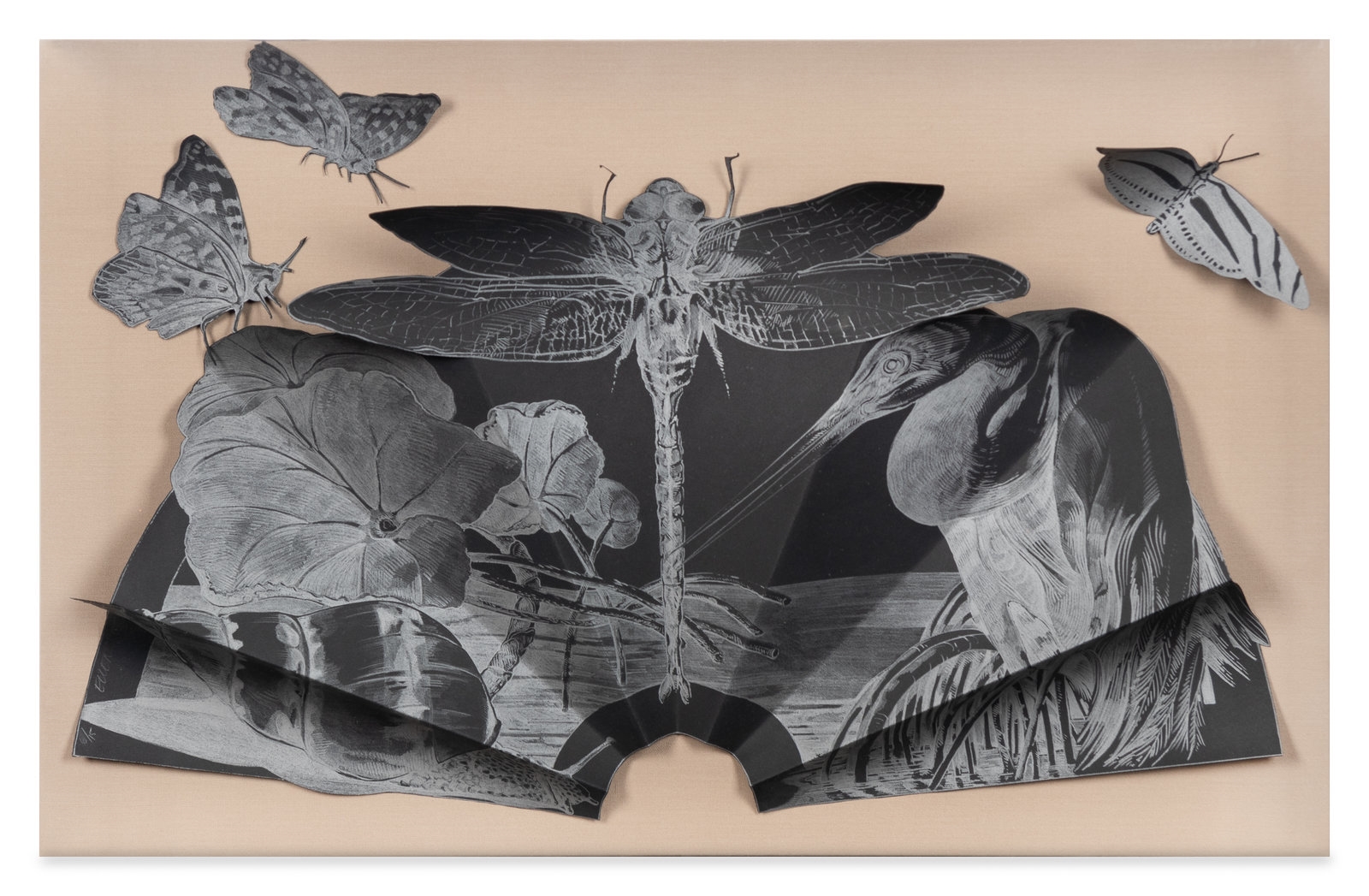 Ellen Lanyon | Untitled (Insect Fan) (1976) | MutualArt